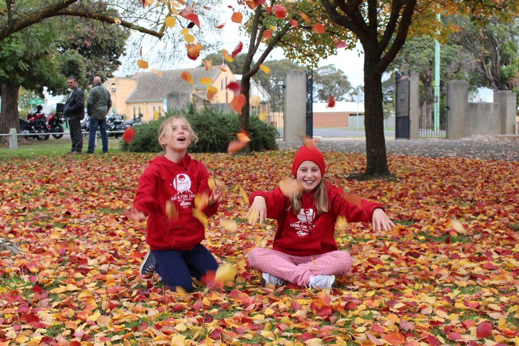 Hamilton Camp - Challenge