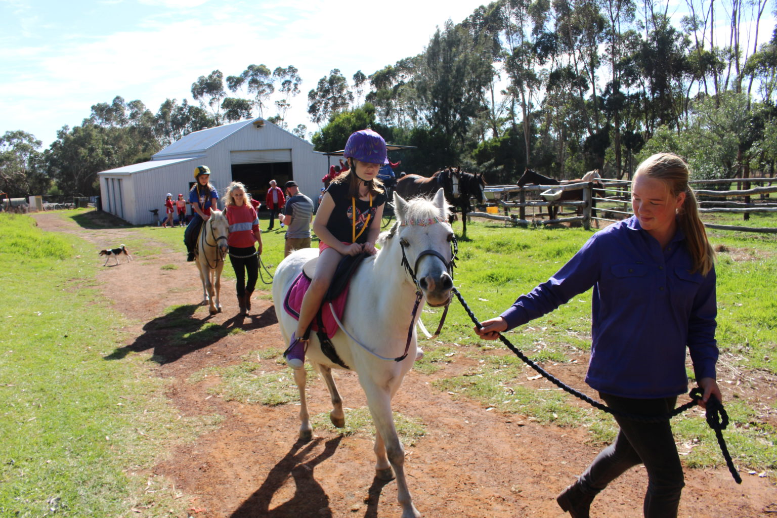 Hamilton Camp - Challenge