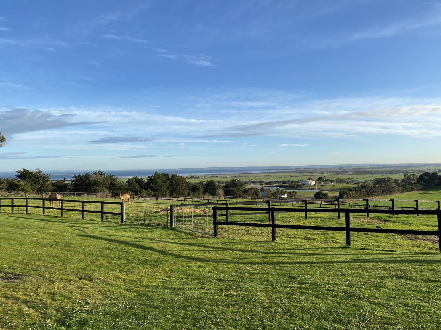 Anderson Rise Retreat, Anderson - Challenge